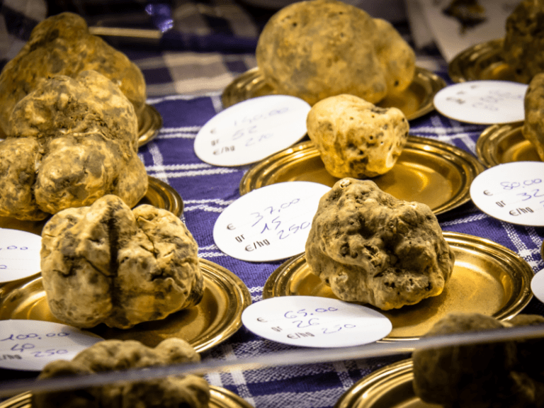 Descubra Piemonte: Cidades, Gastronomia e Experiências Únicas